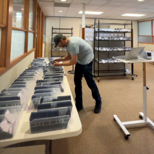 Start Collecting Digital Cards